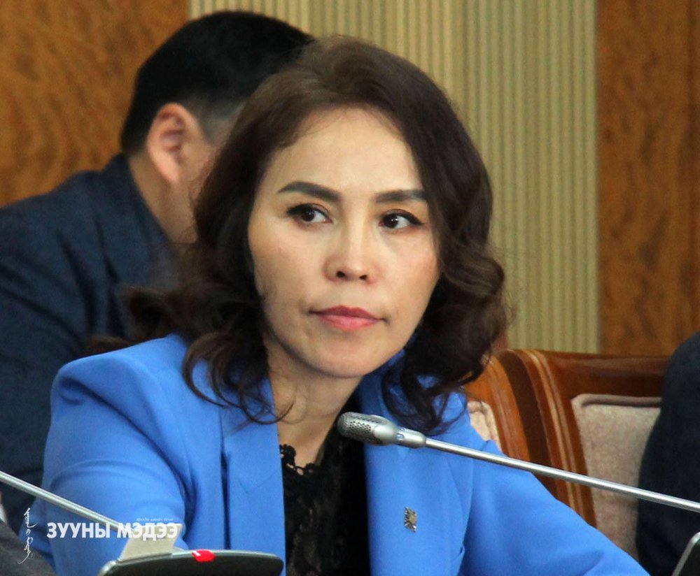 Ц Мөнхцэцэг Парламентад анх удаа хүний эрхийн үнэлгээ хийнэ
